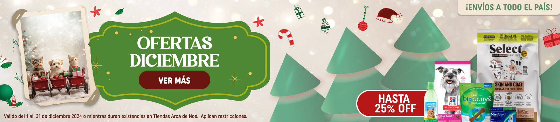 Arca De Noe – Arca de Noe